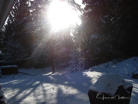 Winter Solstice - an Invincible Summer Within | Soulistry.com