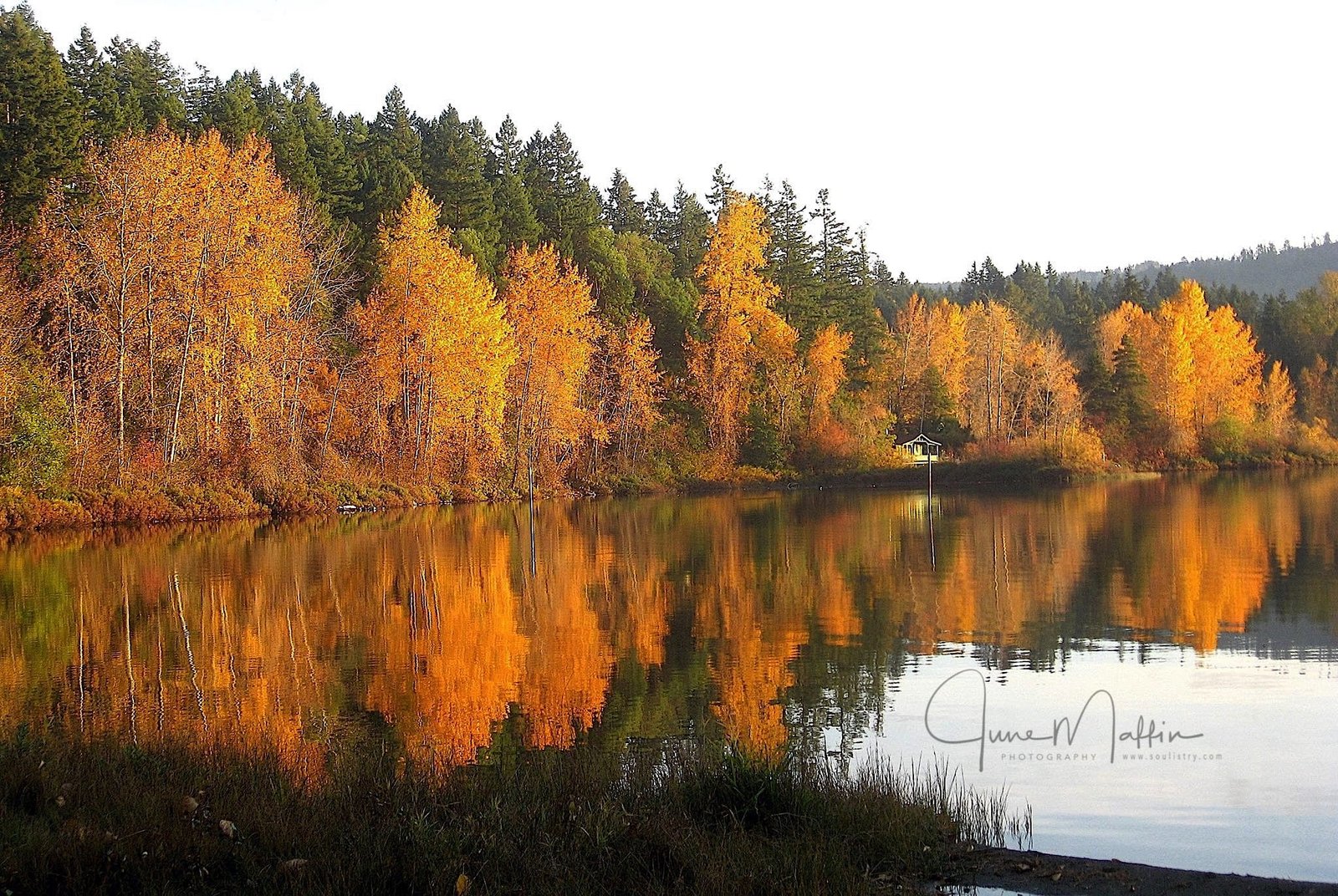 "IT'S OCTOBER-FALL-AUTUMN!" | Soulistry.com