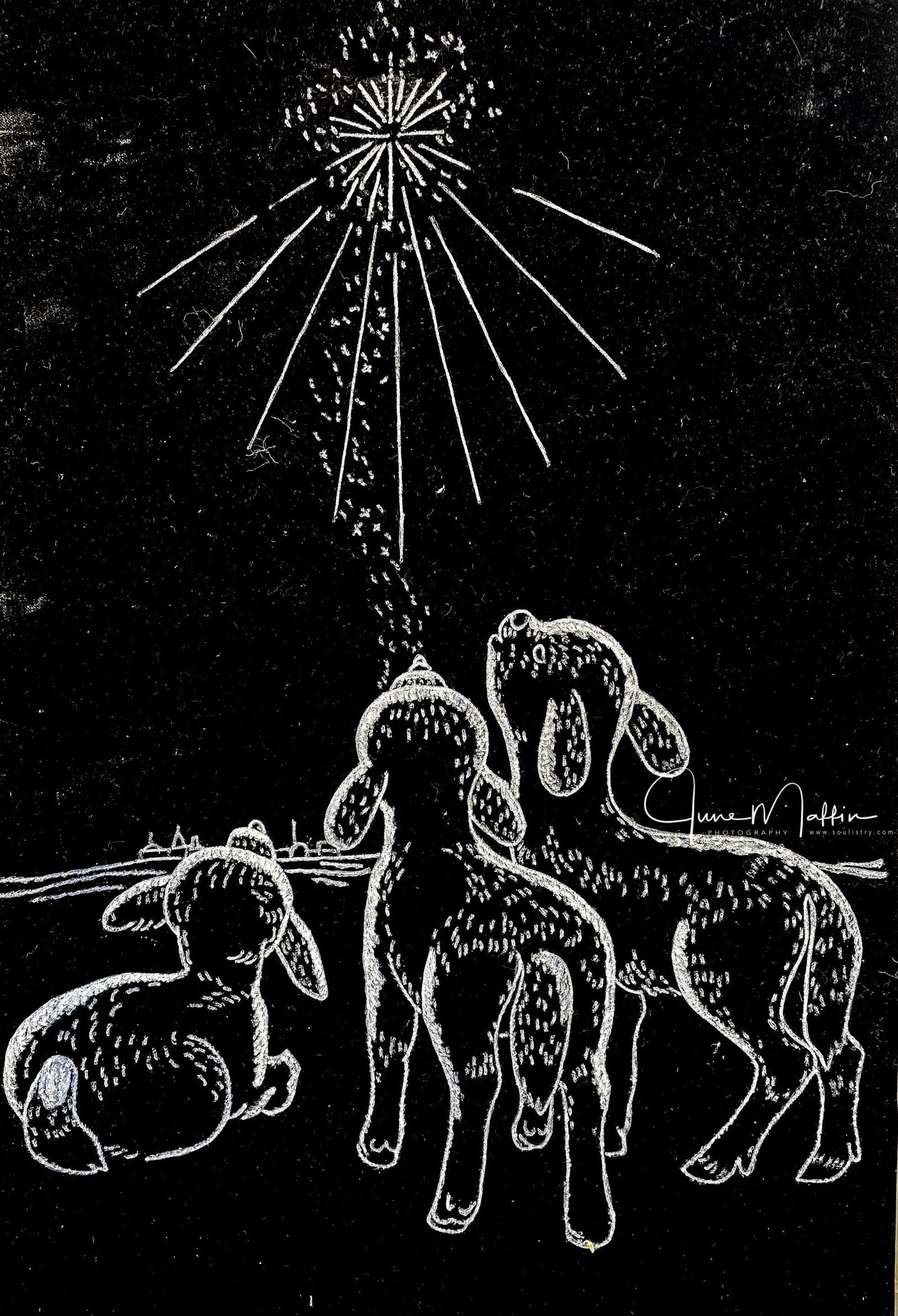Epiphany Bright Stars